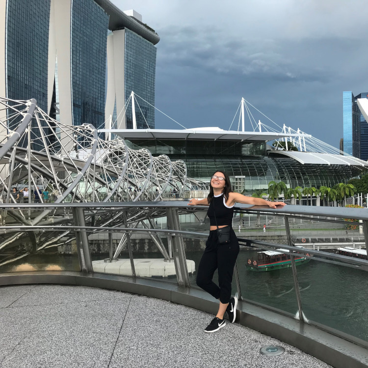 Alisar Fares-Boulos Portfolio